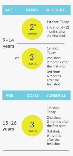 Two Schedules For Gardasil®9 - Hpv Shot Timeline - Free Transparent PNG ...