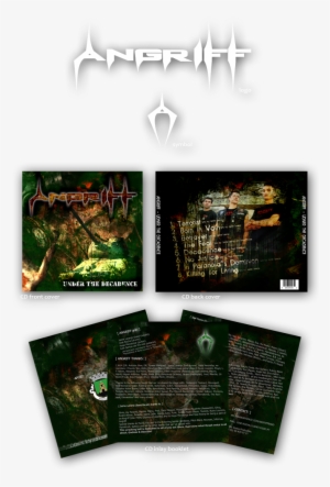 Sitka Logo - Free Transparent PNG Download - PNGkey