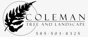 Coleman Logo Hi Res-1 - Free Transparent PNG Download - PNGkey