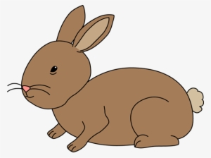 Rabbit Clipart - Transparent Background Rabbit Clipart - Free ...