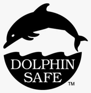 Dolphin PNG, Transparent Dolphin PNG Image Free Download - PNGkey