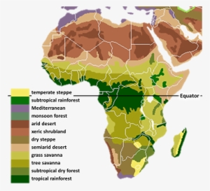 Vegetation Africa - Biomes Of Africa Map - Free Transparent PNG ...