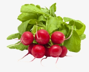 White Radish Png - Mula Vegetables - Free Transparent PNG Download - PNGkey
