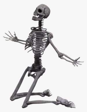 Skeleton PNG, Transparent Skeleton PNG Image Free Download - PNGkey