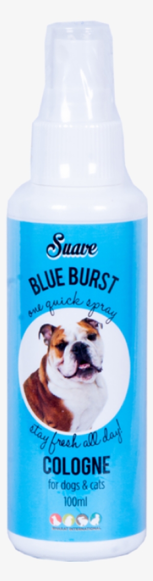 Suave Blue Burst Cologne 100 Ml - Suave - Free Transparent PNG Download ...