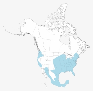Opossum Map - Historic Range Of Coyote - Free Transparent PNG Download ...