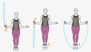 Basic Bounce - Free Transparent PNG Download - PNGkey