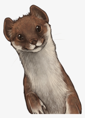 Leastweaselday - Weasel Transparent Background - Free Transparent PNG ...