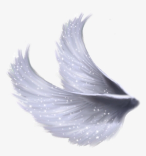 Transparent Angel Wings Tumblr - Angel Wings Tumblr Png - Free ...