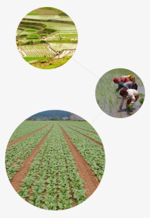 Continue Reading - Circle - Free Transparent PNG Download - PNGkey