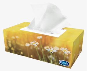 Thumb Image - Royale Tissue Box - Free Transparent PNG Download - PNGkey