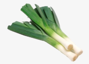 Id Was Called Incorrectly - Leek Cameron - Free Transparent PNG ...