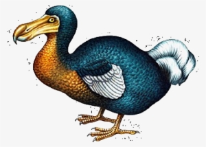 Dodo Illustration - Transparent Background Dodo - Free Transparent PNG ...