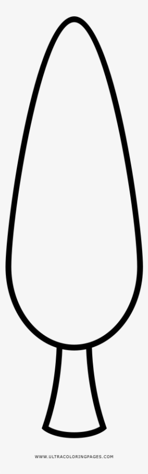 Cypress Tree Coloring Page - Line Art - Free Transparent PNG Download ...