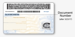 Back Of The Current Nys Driver License For Individuals - New York Id ...