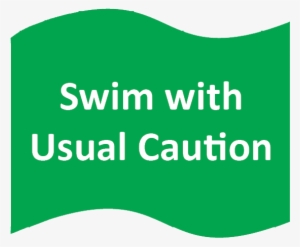 Green Flag - Memes About Good Deeds - Free Transparent PNG Download ...