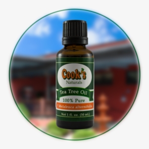 Tea Tree PNG, Transparent Tea Tree PNG Image Free Download - PNGkey