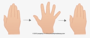 Upper Nerve 12 - Sign Language - Free Transparent PNG Download - PNGkey