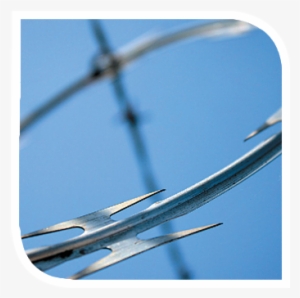 Prison Vector Razor Wire - Barbed Wire - Free Transparent PNG Download ...