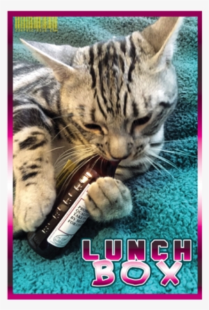 Image Of Lunchbox & Lean - Cat Grabs Treat - Free Transparent PNG ...