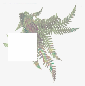 Sitka Logo - Free Transparent PNG Download - PNGkey