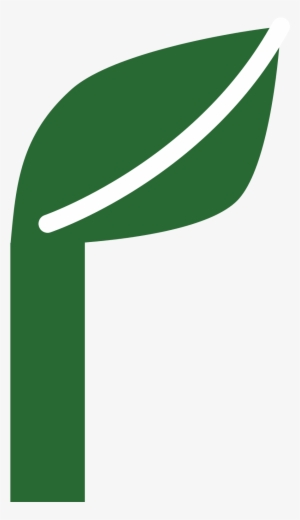 Open - Aws Beanstalk Svg - Free Transparent PNG Download - PNGkey