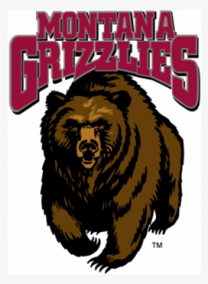 Montana Grizzlies Logo - Free Transparent PNG Download - PNGkey
