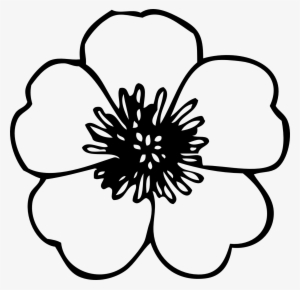 Download Bitmap Picture Simple Flower - Photography - Free Transparent ...