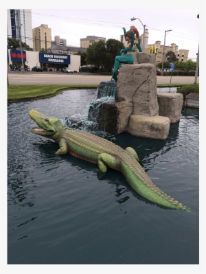 Iguana Iguana Distribution Map - Green Iguana Range Map - Free ...