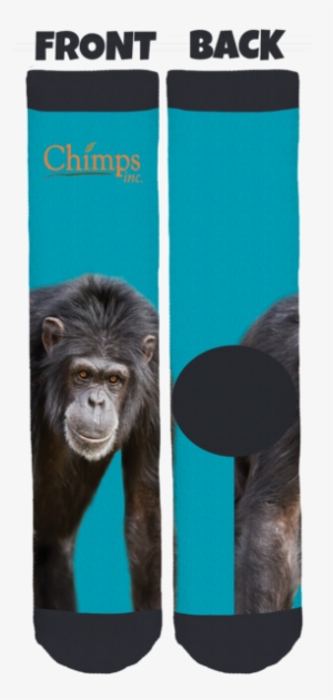 Crew Socks - Front And Back Socks - Free Transparent PNG Download - PNGkey