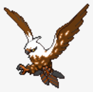 Eagle Talonflame - Eagle Pokemon - Free Transparent PNG Download - PNGkey