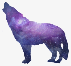 Galaxy Wolf By Violetdrawcat On Deviantart Picture - Galaxy Wolf ...