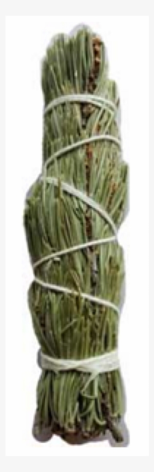 Smudge PNG, Transparent Smudge PNG Image Free Download - PNGkey