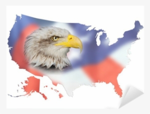 Super Bowl 42 Rooting Map - Free Transparent PNG Download - PNGkey