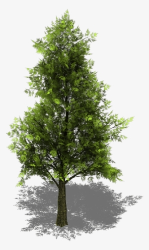 Fruit Trees - Stardew Valley Tree Sprites - Free Transparent PNG ...