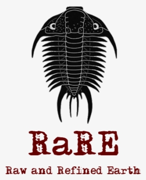 Saltasaurus - Free Transparent PNG Download - PNGkey