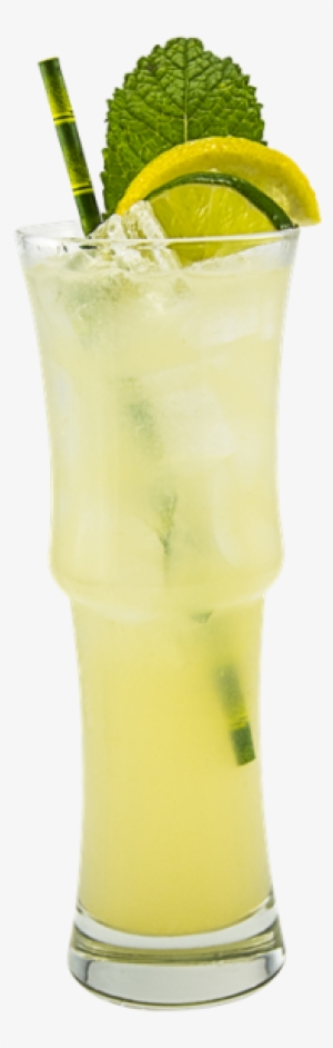 Fizz - Free Transparent PNG Download - PNGkey