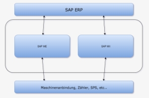 Sap Me & Sap Mii - Diagram - Free Transparent PNG Download - PNGkey