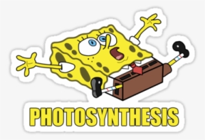Spongebob PNG, Transparent Spongebob PNG Image Free Download , Page 3 ...