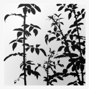 Shrub - Bfdi Shrub - Free Transparent PNG Download - PNGkey