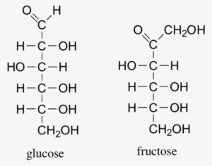 Sugar Fischer Projection - Tagatose Structure - Free Transparent PNG ...
