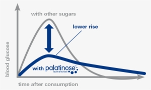 You Can Download The Picture Here - Isomaltulose - Free Transparent PNG ...