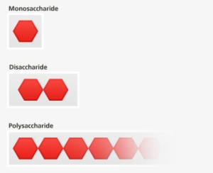 Carbohydrates - Ball And Stick Model Of Starch - Free Transparent PNG ...