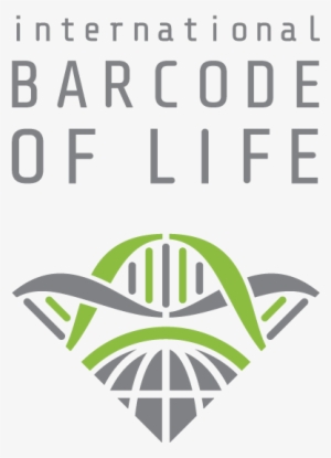 Barcode PNG, Transparent Barcode PNG Image Free Download - PNGkey