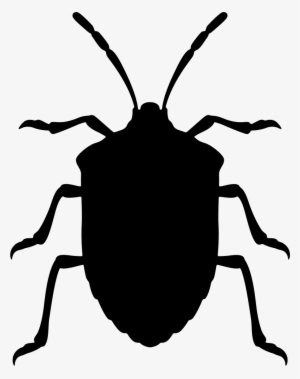 Png File - Stink Bug Clip Art - Free Transparent PNG Download - PNGkey
