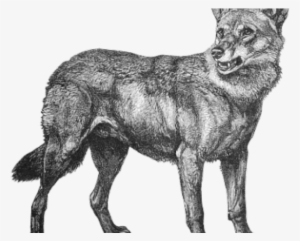 Javaserver Pages Pocket Reference - Free Transparent PNG Download - PNGkey