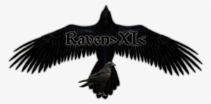 Raven Flying Transparent Background - Crow Png - Free Transparent PNG ...