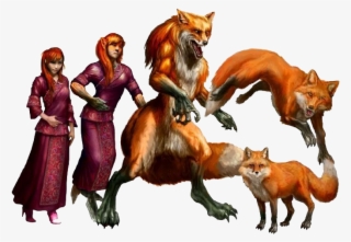 Kitsune - D&d Hengeyokai - Free Transparent PNG Download - PNGkey