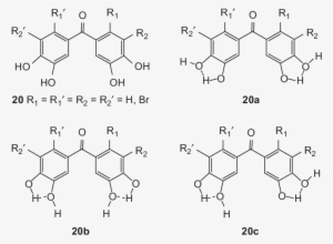 Structures Of Hydrogen Bonds Between Oh Groups In The - Hydroxy Group ...