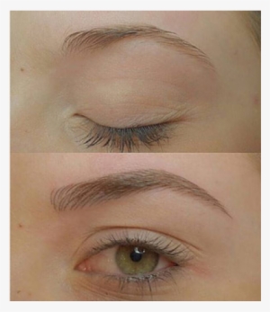 Previous - Light Brown Microblading Eyebrows - Free Transparent PNG ...